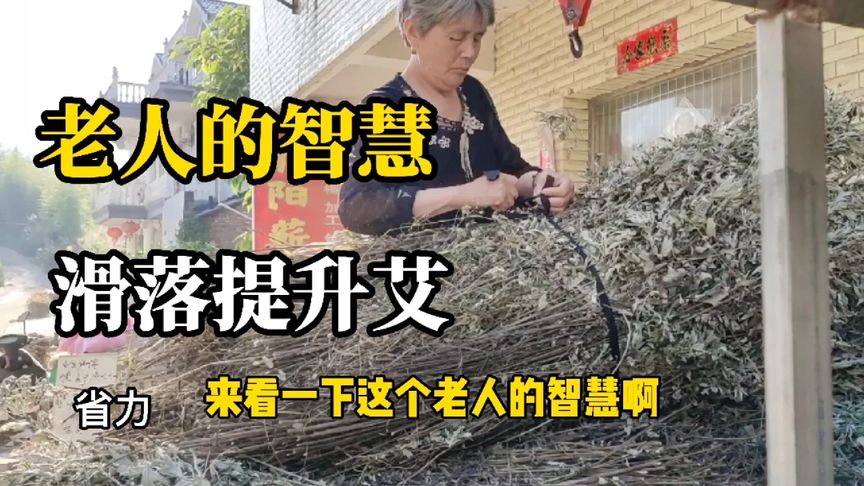 滑轮省力装置提升艾草到三楼,农村人的智慧,一般人想不到