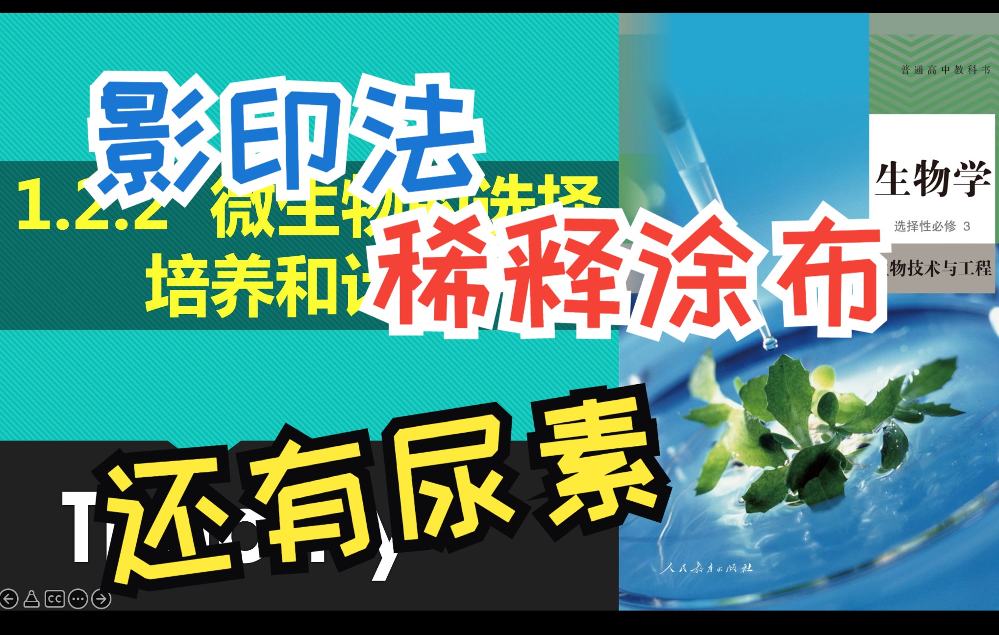【选择性必修3】1.2.2-1微生物的选择培养和计数 影印法稀释涂布平板...