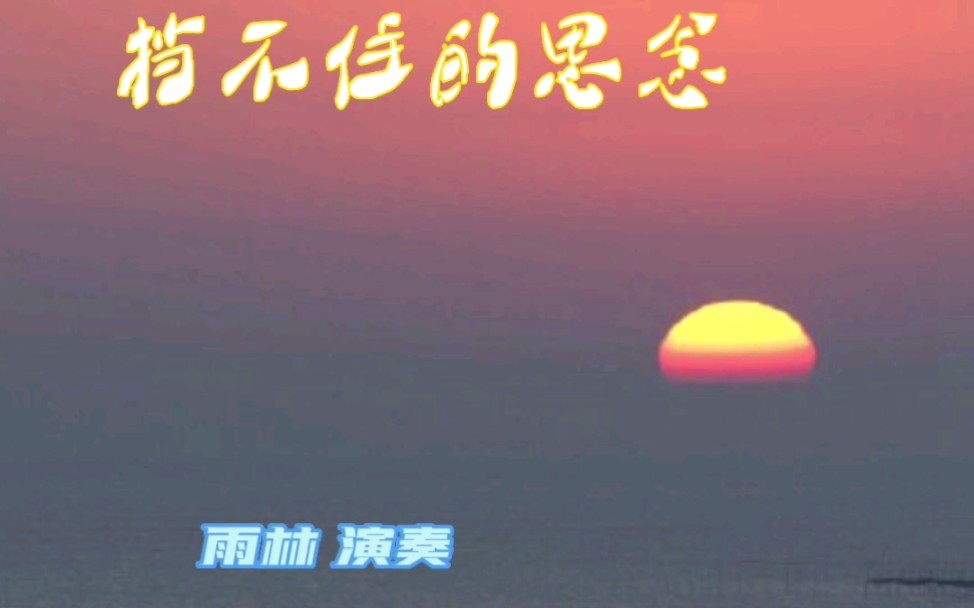 电吹管演奏《挡不住的思念》