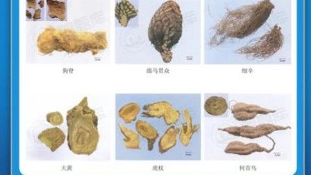 执业药师考试教学免费视频