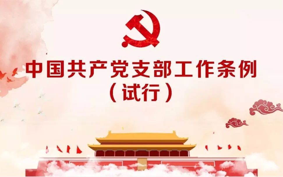 一部视频读懂《中国共产党支部工作条例(试行)》