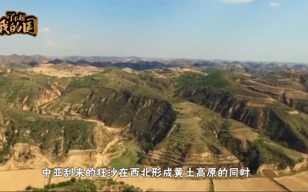 厉害可我的国_中国植树造林面积近半个中国,老外都佩服,