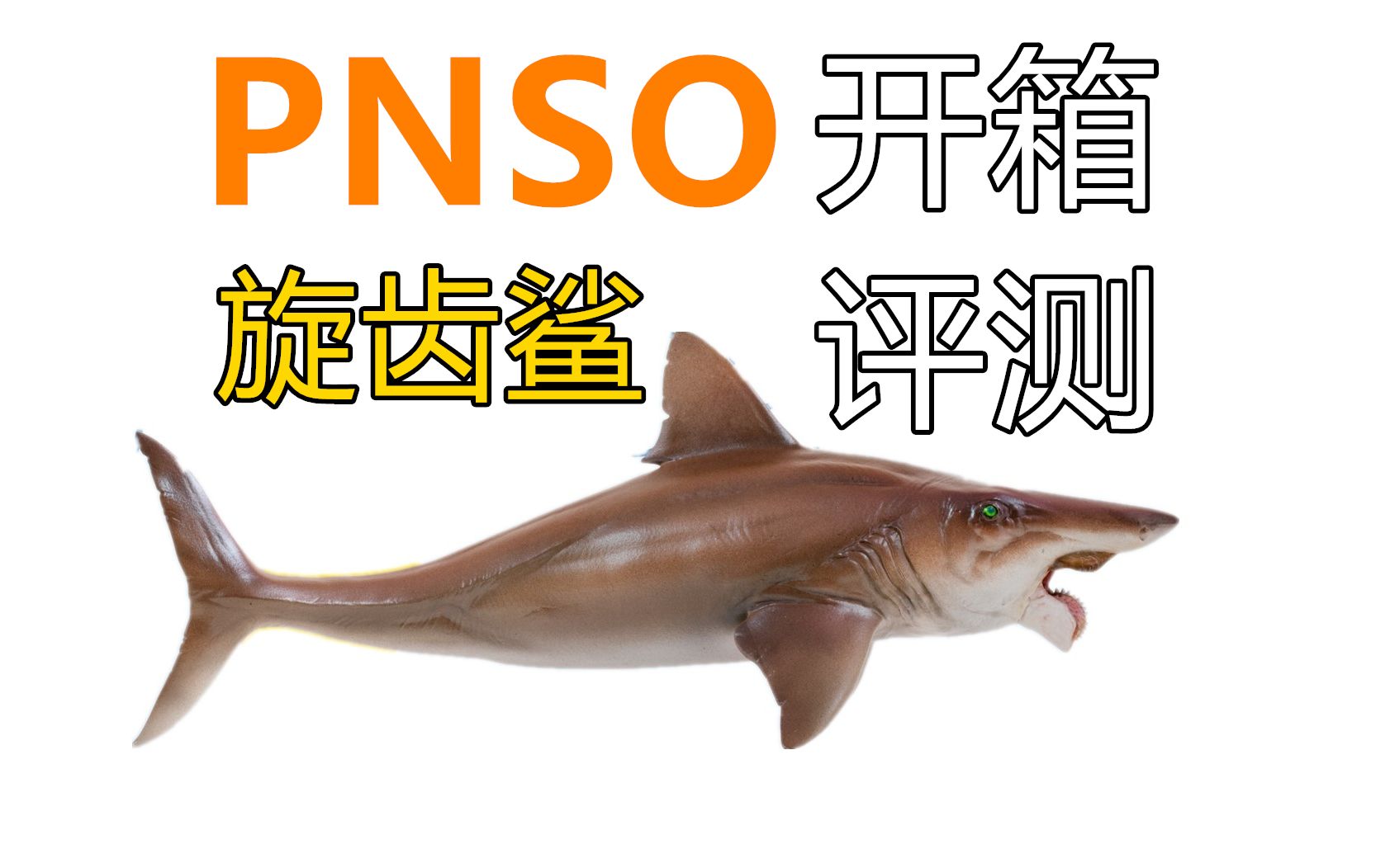 【梅男】电锯惊魂—PNSO旋齿鲨模型开箱评测!