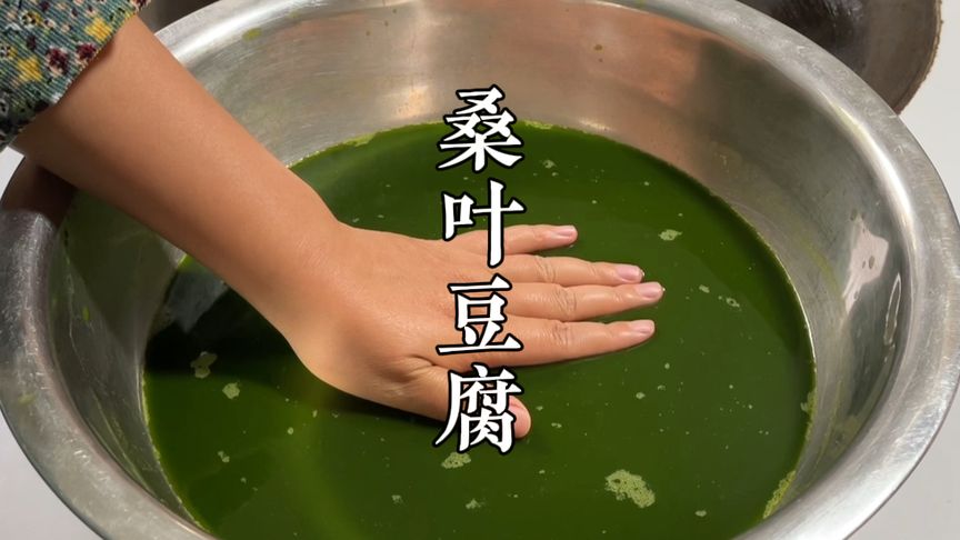 最近很火的桑叶豆腐详细做法毫无保留全分享，一看就会人人都成功