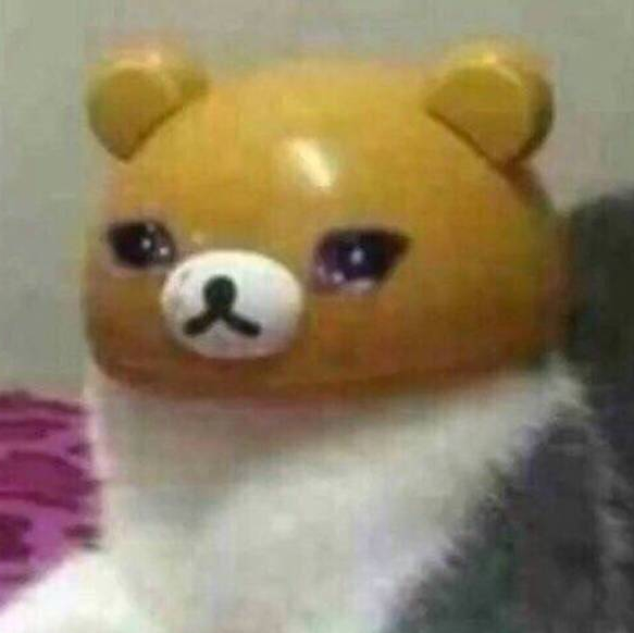 斯诺i 