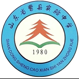 不懂电脑的信息刘老师 