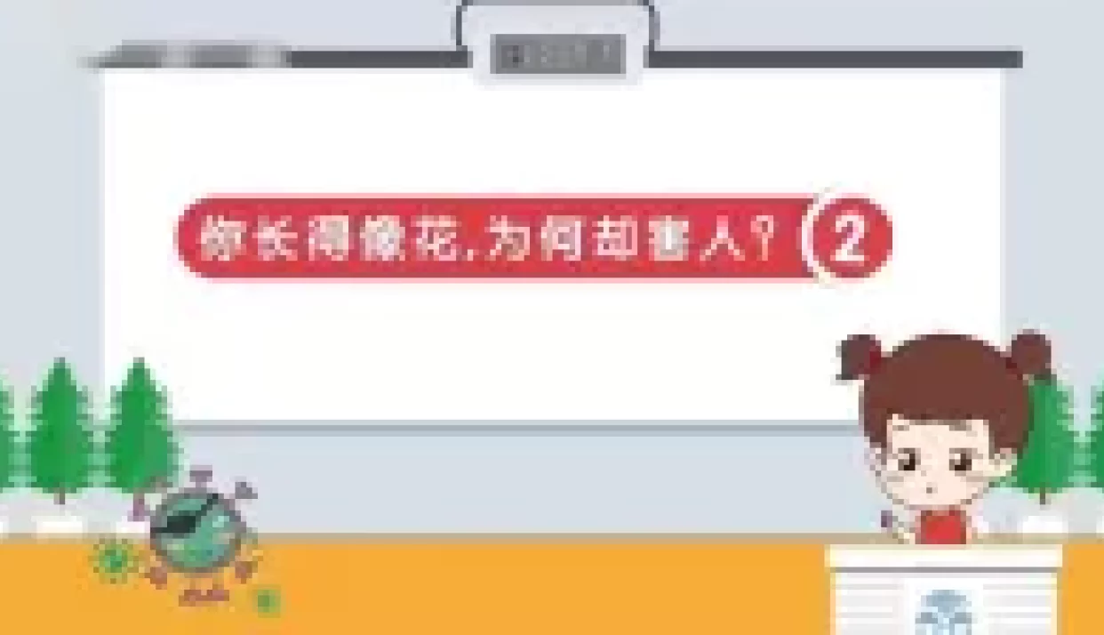 新型冠状病毒动画片