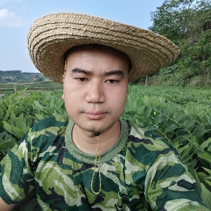 农人阿真 