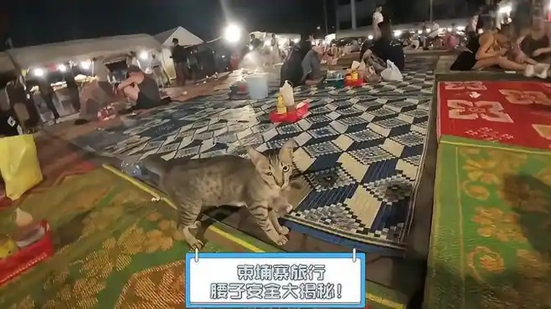 柬埔寨旅行,腰子安全大揭秘!