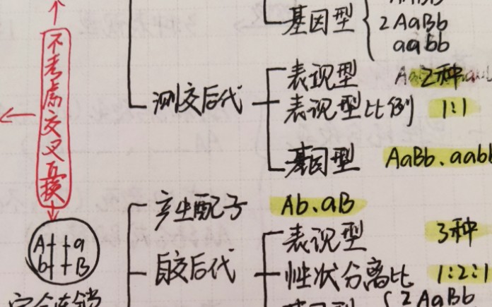 ☞生物遗传题大招 〔患病概率计算、两对等位基因在染色体上的位置...