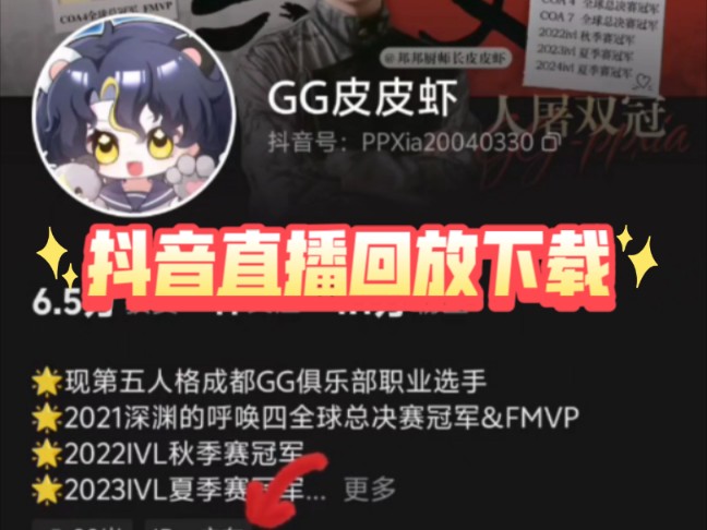 一个简单的抖音直播回放下载教程