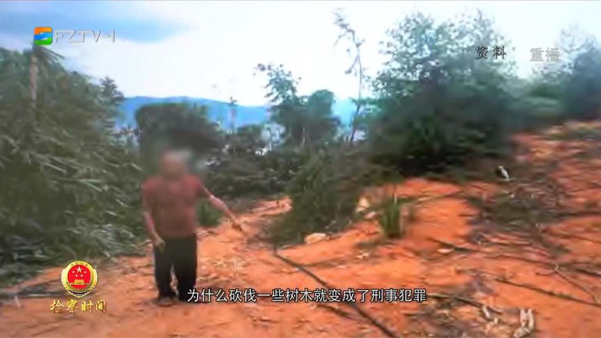 砍伐自家种的树 男子被判刑