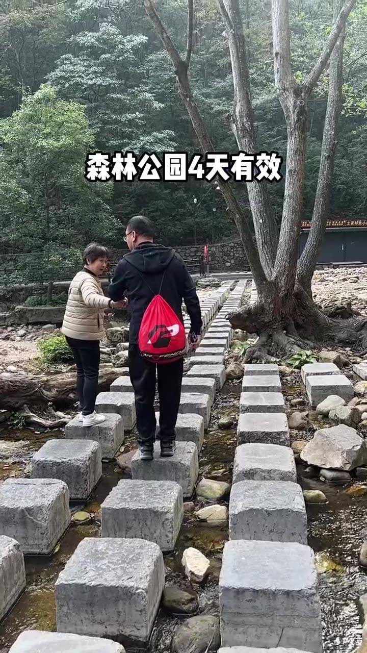第一次来张家界,天门山还是森林公园