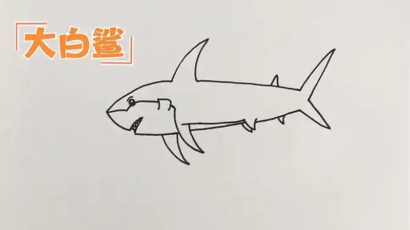 大白鲨怎么画,大白鲨简笔画,简单的幼儿园简笔画