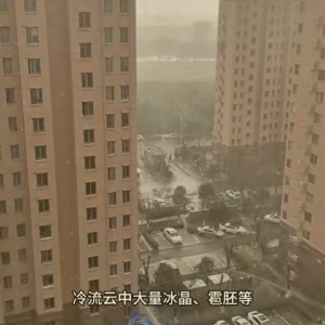 还要活很多年探索发现 