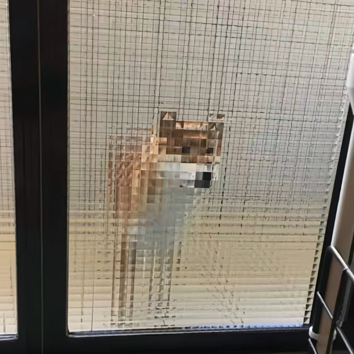 日月远洋 