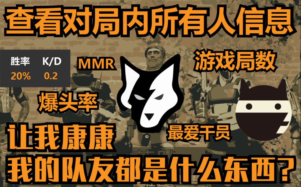 【旧】对局中查看所有玩家R6数据的方法。