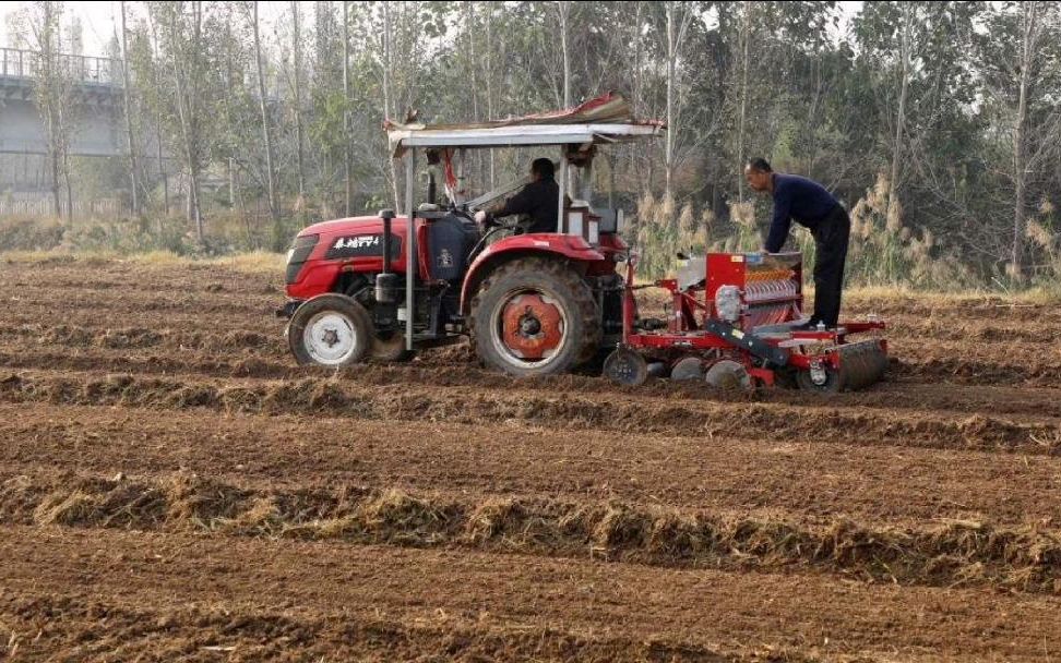 小麦啥时间播种最好,不同地区播期不一样,各地最佳播种时间收藏