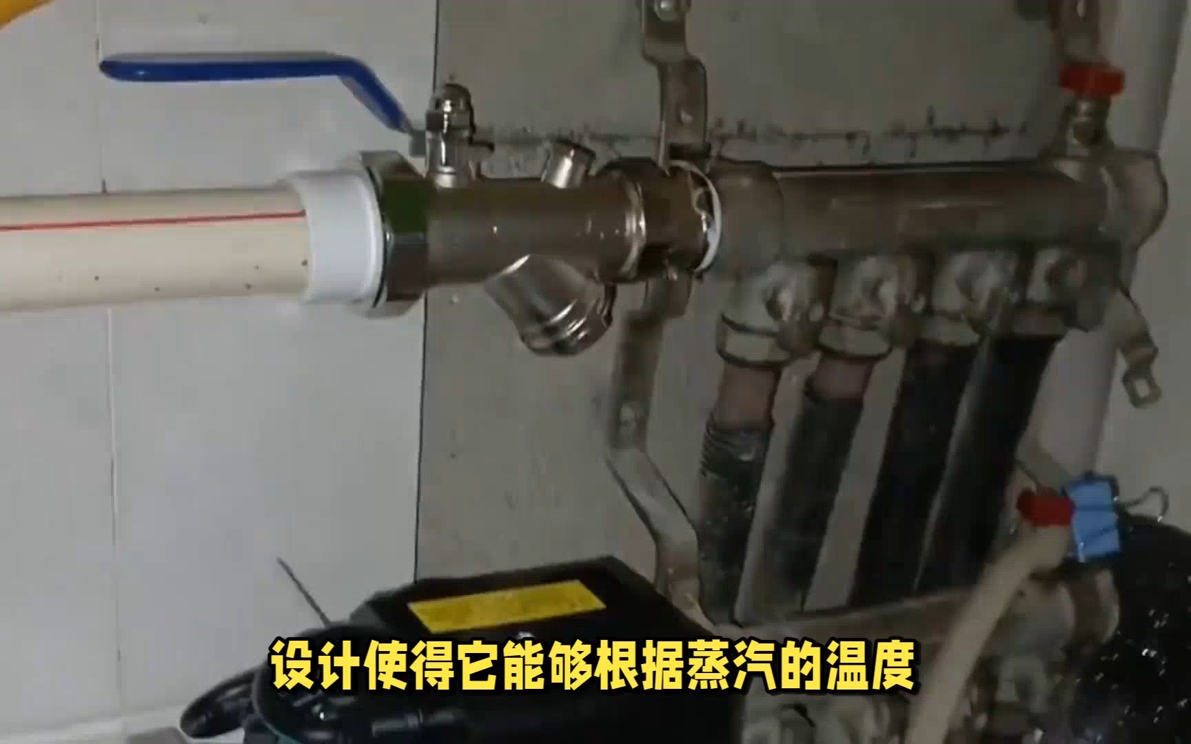 进口恒温波纹管式蒸汽疏水阀