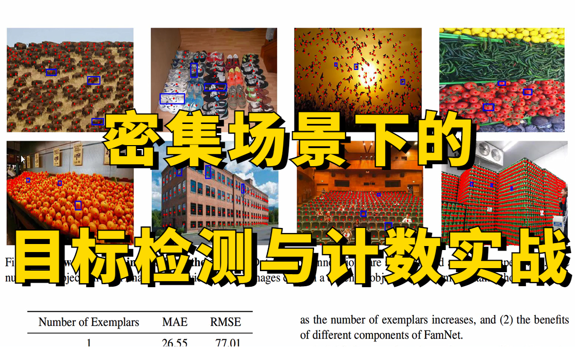 目标检测项目实战教程:基于密集场景的下的目标检测与计数实战,论文...