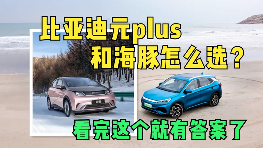 比亚迪元plus和海豚怎么选合适?看完这个视频就有答案了