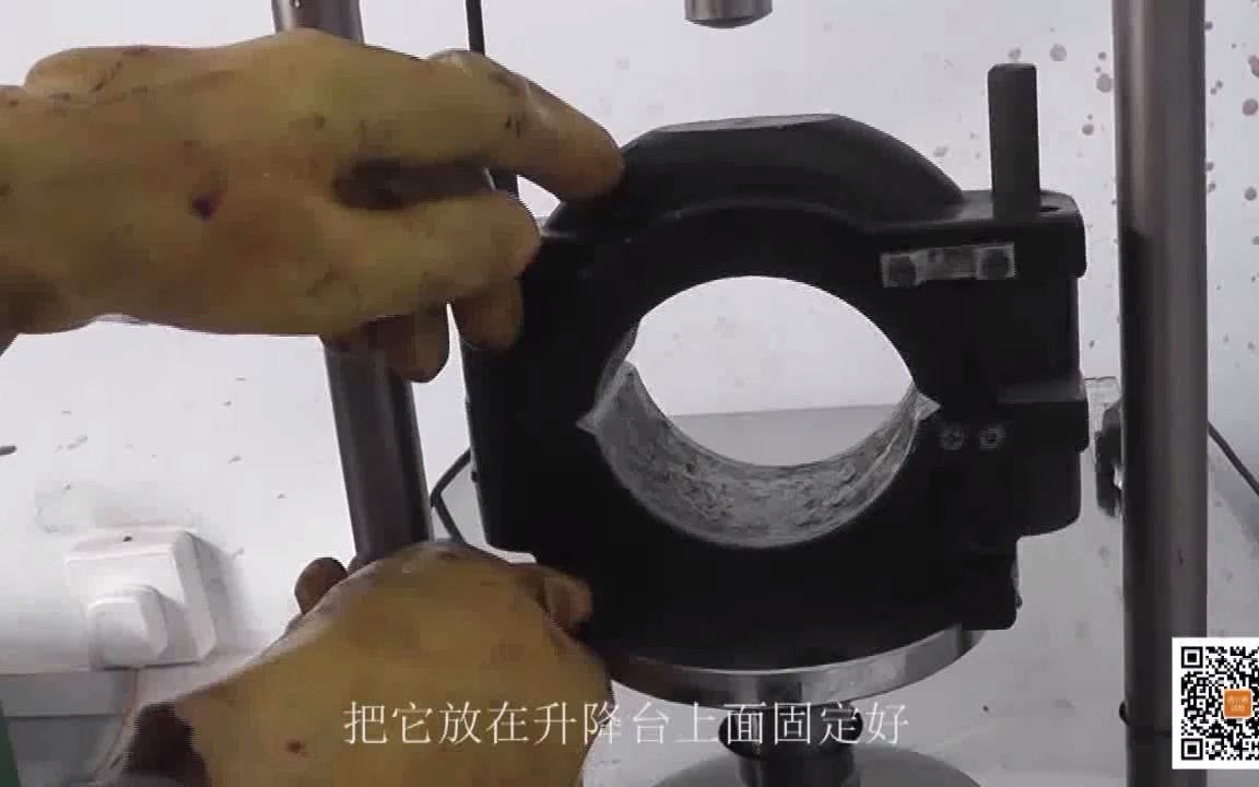 沥青混合料马歇尔稳定度试验,你之前做对了吗?|微工路试验网校