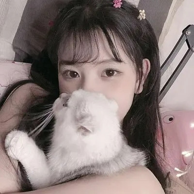枕上檐角的猫 
