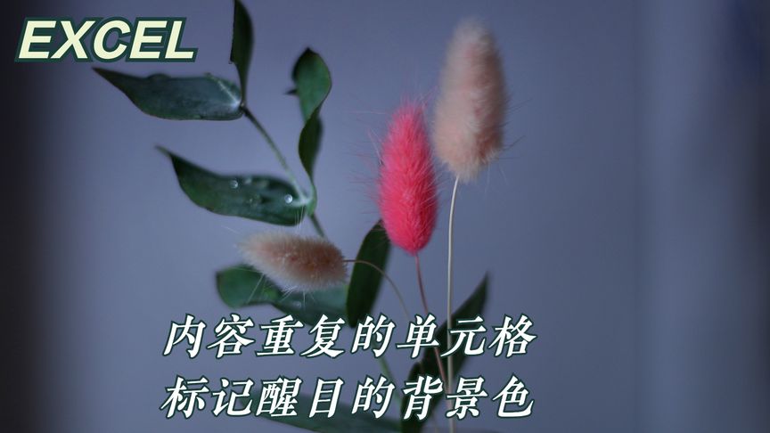 Excel基础知识(52):将内容重复的单元格标记出醒目的背景色