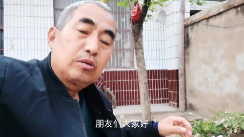 种植西红柿看似简单的一步,实际暗藏玄机,你别不相信