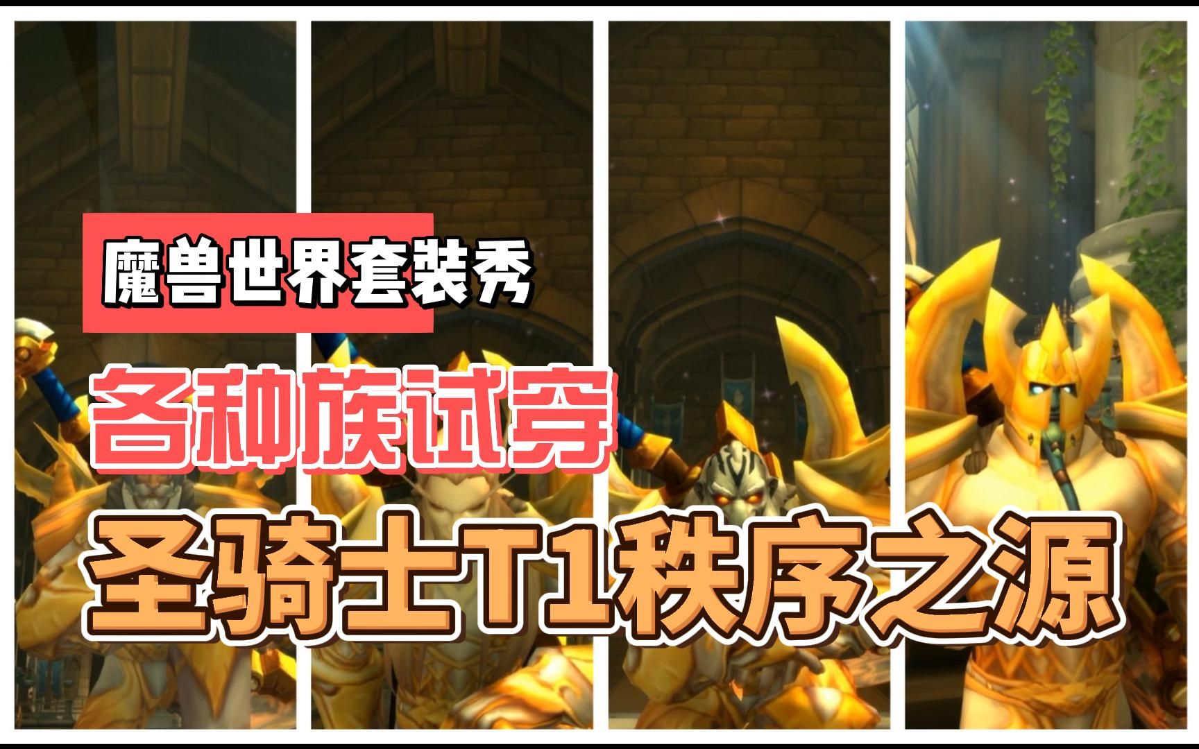 魔兽世界全种族套装-圣骑士T1秩序之源_游戏热门视频