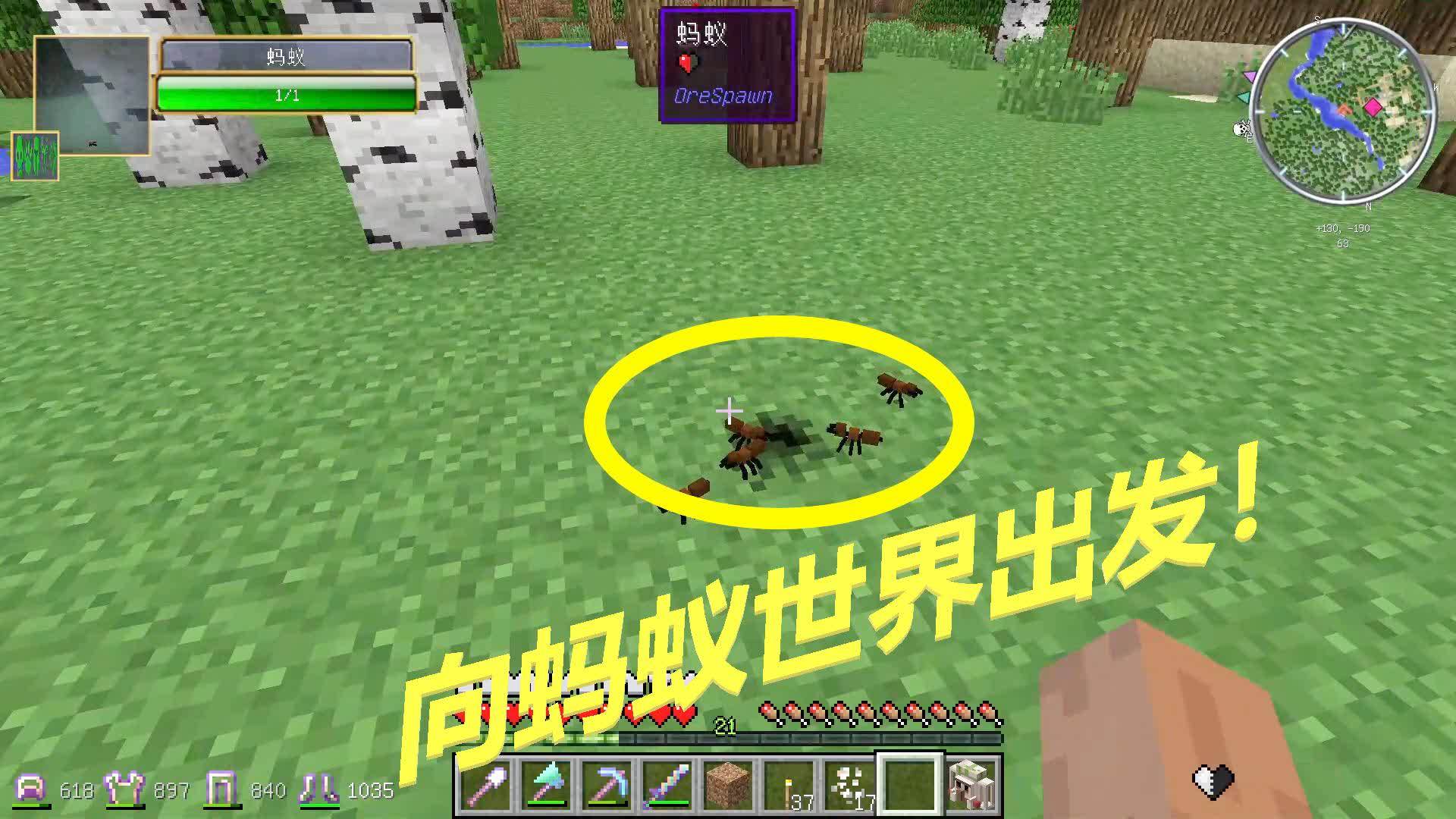 我的世界:蚂蚁世界会是什么样的呢,全是蚂蚁吗!