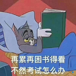 萌新小陶子 