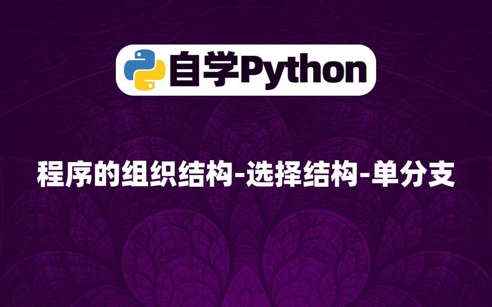 【Python入门】程序的组织结构-选择结构-单分支