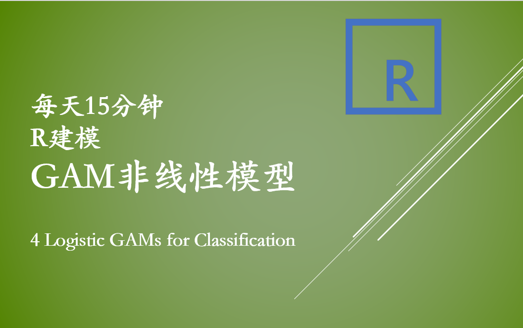 12.4 分类变量的logistic GAMs