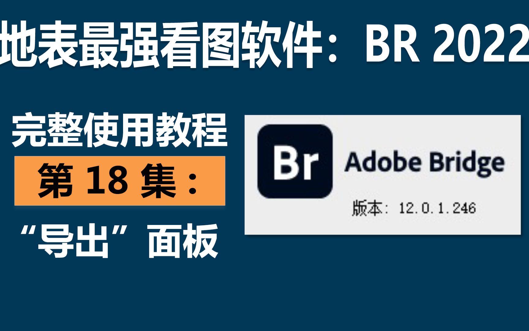 地表最强看图软件:BR2022完整教程第18集-"导出"面板