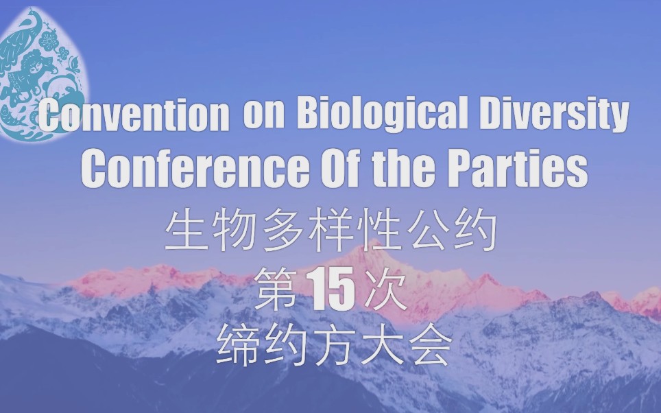 一个关于生物多样性的视频