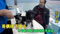救助站小幼犬得了细小病毒,不管能不能治好,老舅是不能放弃的