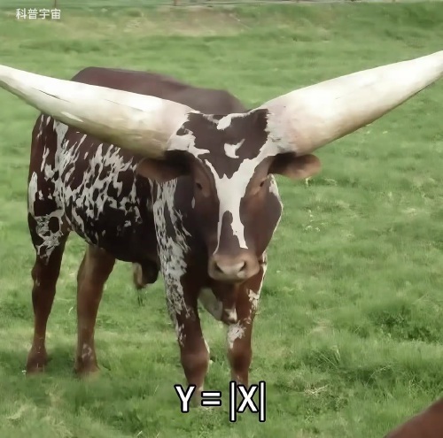 这些图以牛角形状类比不同数学函数图像,趣味展现函数形态差异