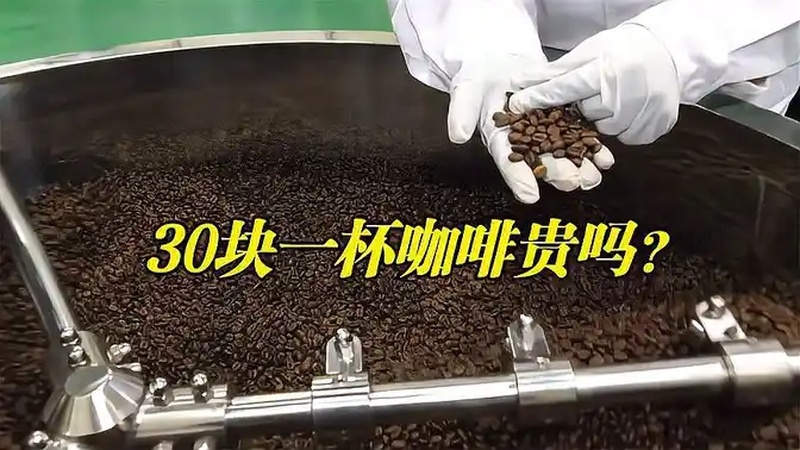 工厂制作咖啡全过程,200吨原材料,机器倒腾后,成品价格涨10倍