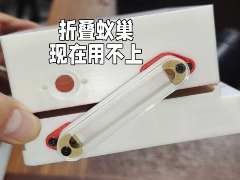 蚁巢,蚂蚁