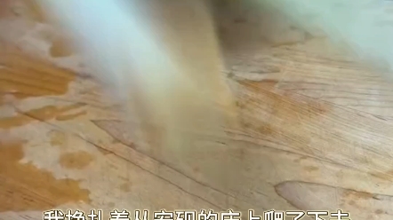 【双男主】四男主,一受三攻…