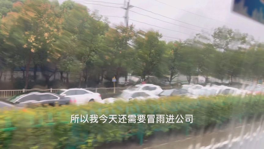上海又遇台风天气,外企公司会怎么处理?不知这福利是否很普遍?