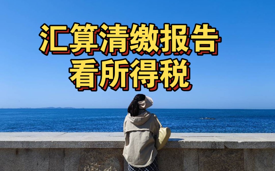 【会计、审计小白】通过汇算清缴报告看所得税