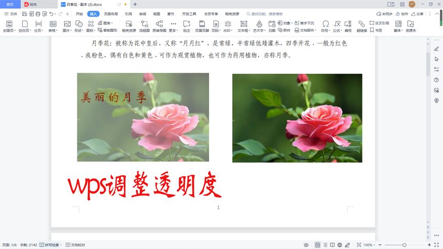 wps调整图片的透明度,让文字与图片呈现若隐若现的效果