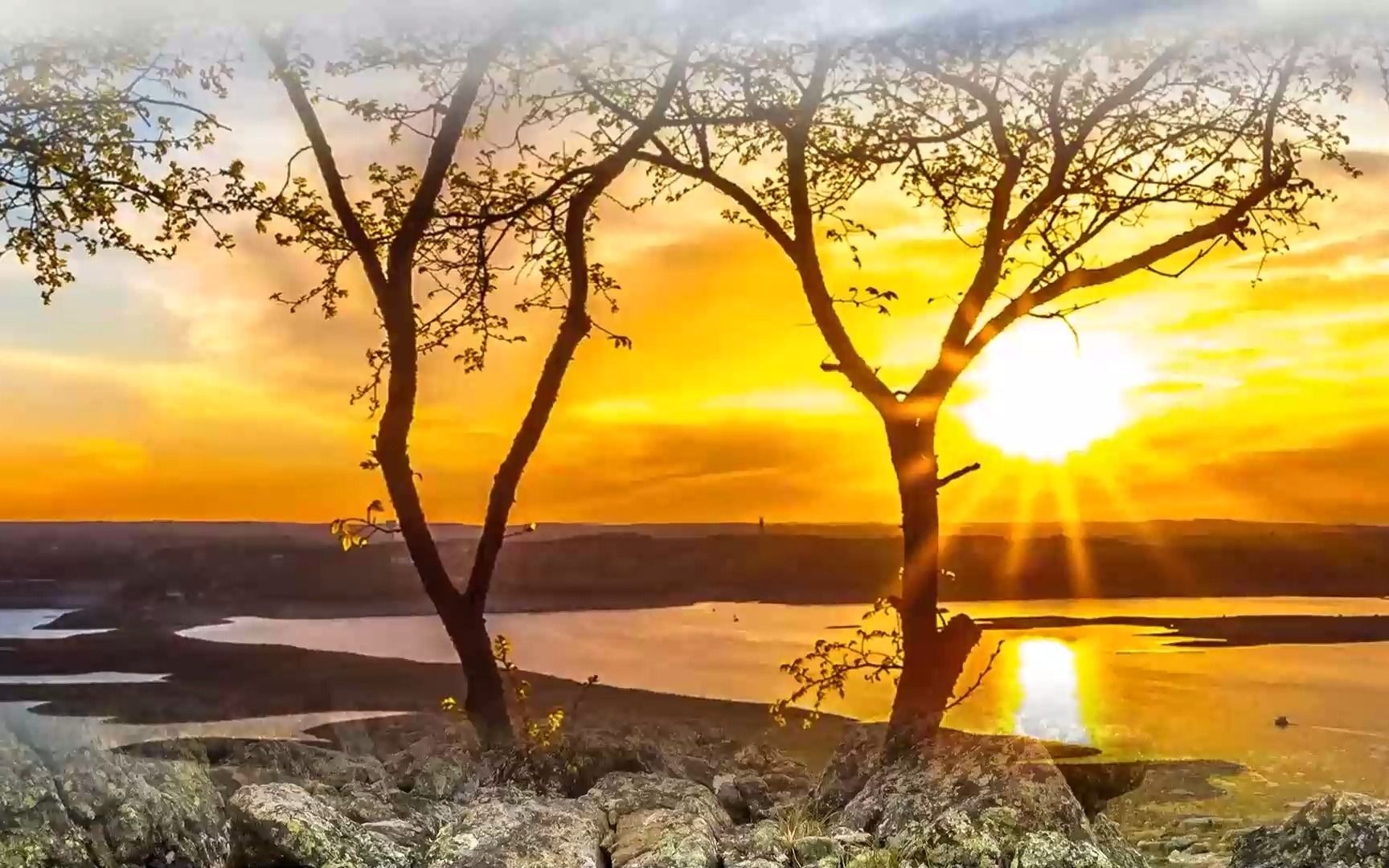 秋叶AI智能办公训练营-