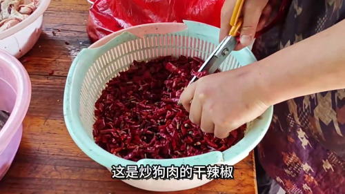 米大哥狗肉生意好,开始炒鸡鸭了,吃农家饭很不错