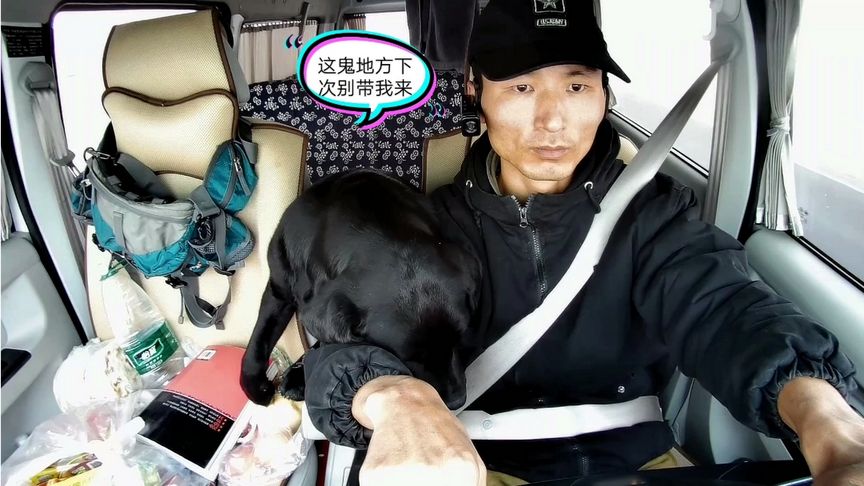 传说中的昆仑山到底有多差？狗狗抬头看三次，告诉我以后别带牠来