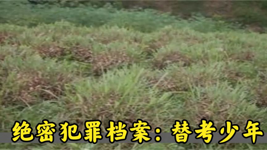 绝密犯罪档案:替考少年