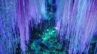 阿凡达来到灵魂树,发梢与树枝相连,能听到森林中声音!