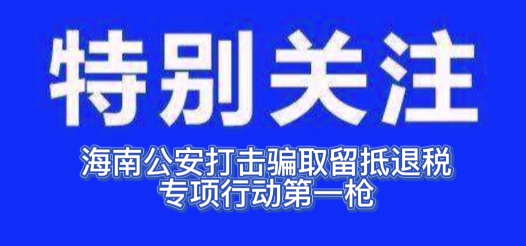 海南公安打击骗取留抵退税专项行动第一枪